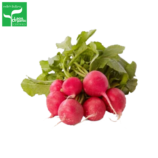 Organic Red Radish per 0.5kg — Shopping-D Service Platform
