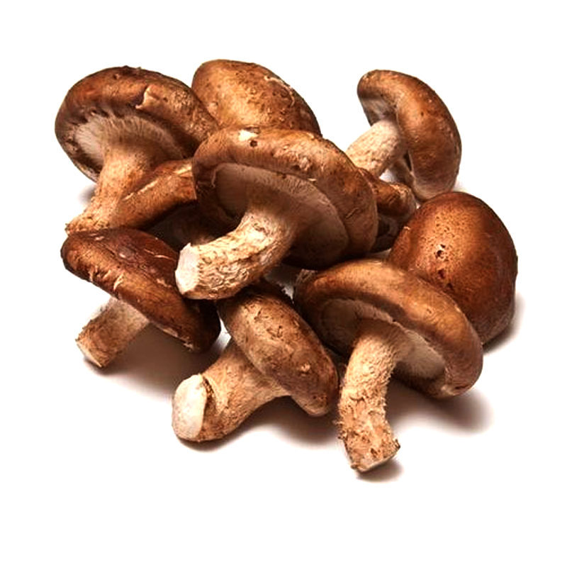 Fresh Shitake Mushroom pack of 200g — Shopping-D Service Platform