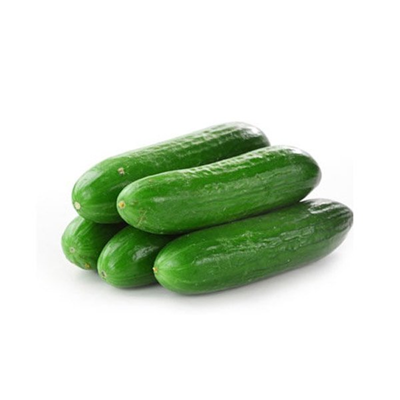 Fresh Baby Cucumber 0.5kg - Crisp Mini Cucumbers | Fresh Market ...